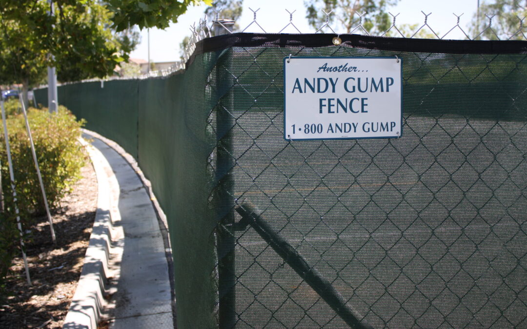 Picture 014 - Andy Gump
